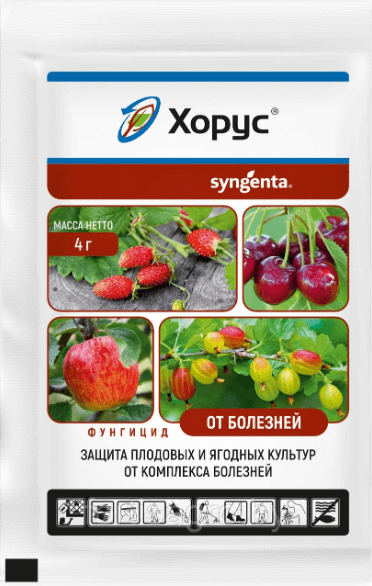 Системный фунгицид Хорус ВДГ Syngenta Фортис 4г купить в Минске недорого
